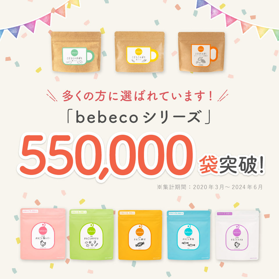 こどもこんぽた bebeco 100g×1袋【メール便送料無料】【出荷目安：ご注文後3～5日】